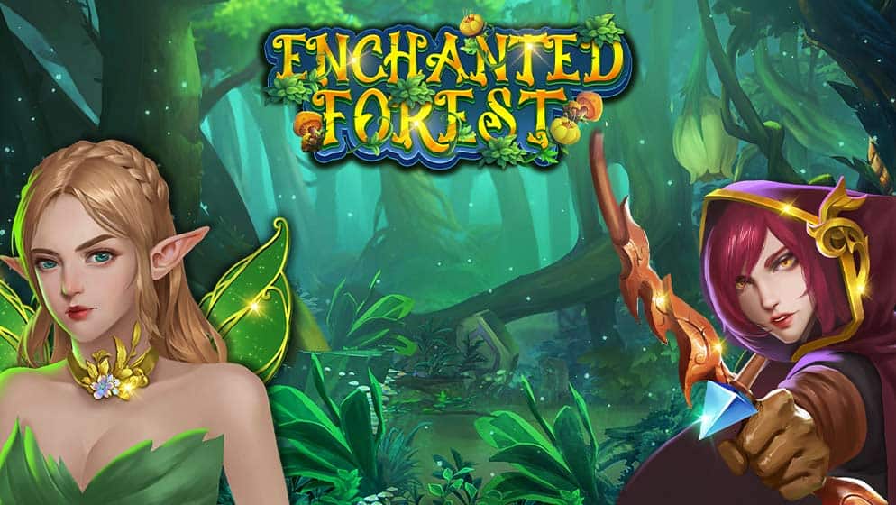 Enchanted Forest | 1000 Giri Gratis | StarVegas